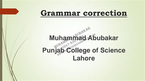 Solution Grammar Correction Studypool