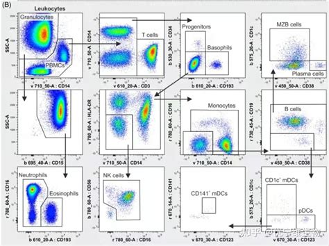 【罗工流式秘籍46】避免圈了个寂寞—流式聚类分析flowsom深度教学 知乎