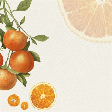 手绘天然鲜橙图案fr素材 高清图片 摄影照片 寻图免费打包下载