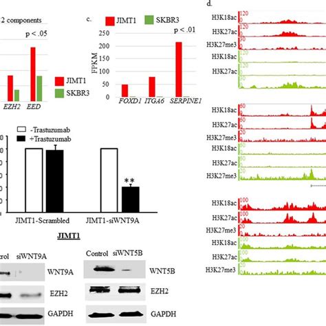 Regulation Of Gene Expression In Jimt1 And Skbr3 Cells Irfsix2 Motifs