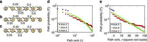 The Path Distribution For A Random Walk On A Network May Be Finite