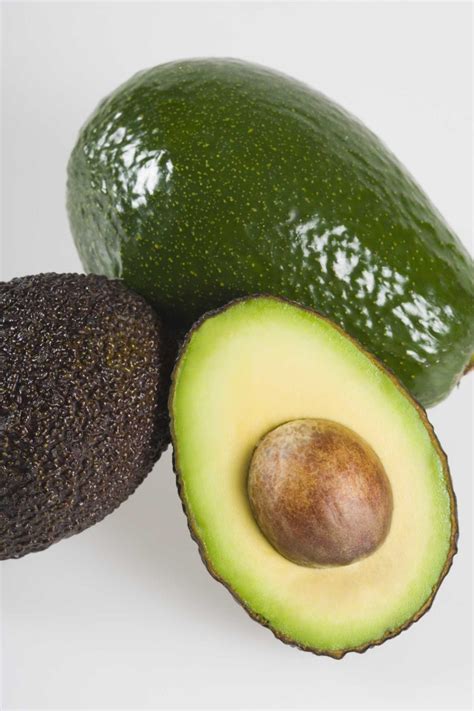 Holes In Avocados And Avocado Tree Pests