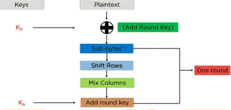 Unit Cryptography Des Algo Aes Blowfish Learnerbits
