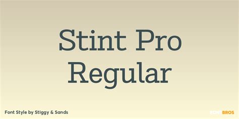 Stint Pro Regular Font Style By Stiggy And Sands Font Bros