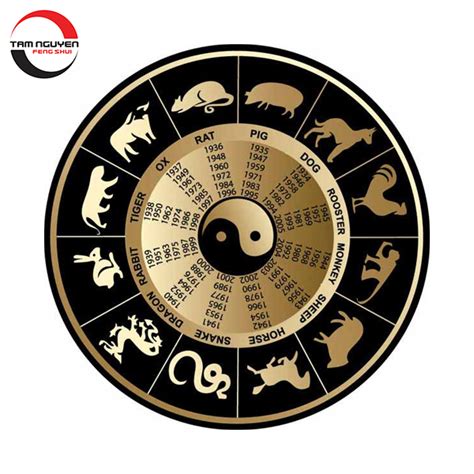 Tử Vi Đẩu Số Toàn Thư Cuốn Sách Gối Đầu Của Những Người Mê Tử Vi