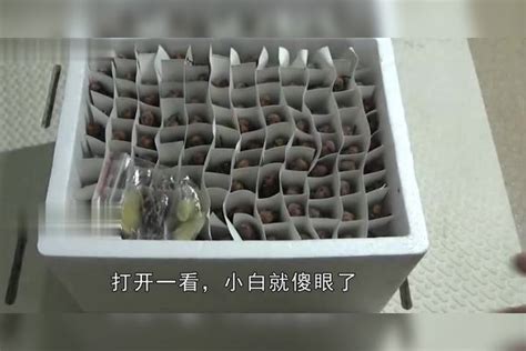 小伙收到神秘快递，里面装满了胡蜂是谁寄来的毒包裹胡蜂小伙包裹