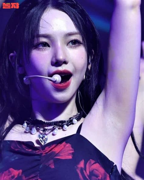 놀쟈 성인들의 파라다이스