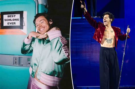 Harry Styles Declares He Has The Best Schlong Ever