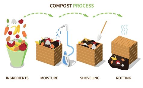 Composting Boxes Process Infographics Vector Art At Vecteezy