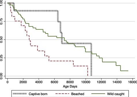 Kaplanmeier Survival Curves For The Proportion Of Pacific Walrus