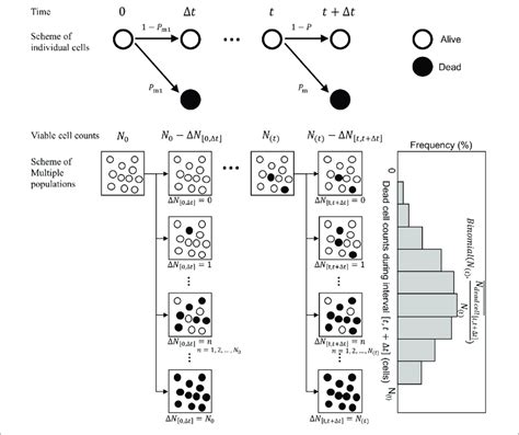 Schematic Of The Markov Chain Monte Carlo Mcmc Procedure The Download Scientific Diagram