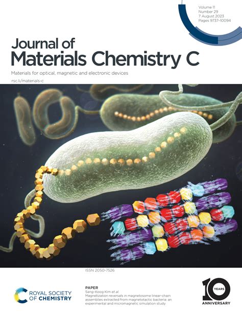 pdf magnetization reversals in magnetosome linear chain assemblies