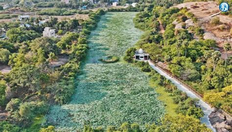 மாமல்லபுரத்தில் உள்ள கோனேரி ஏரியில் சுற்றுச்சூழல் பூங்கா அதிகாரிகளுடன்