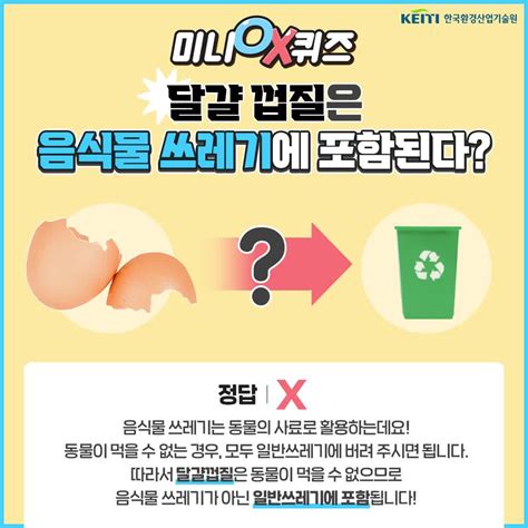 미니 Ox 퀴즈 달걀 껍질은 음식물 쓰레기에 포함된다 ⠀ ⠀ ⠀ 달걀 껍질은 음식물 쓰레기에 포함될까요⠀ ⠀ 정답은 X
