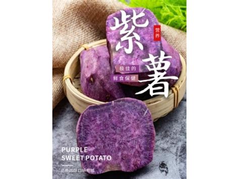 紫薯耳朵大大 站酷zcool