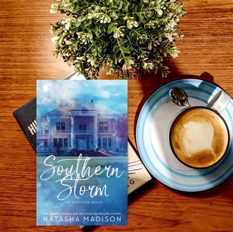 Southern Series By Natasha Madison Wild Hearts Bookshop