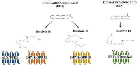 Resolvins And Their Receptors Download Scientific Diagram