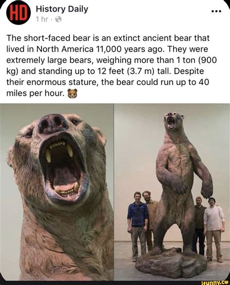 History Daily Ht The Short Faced Bear Is An Extinct Ancient Bear That