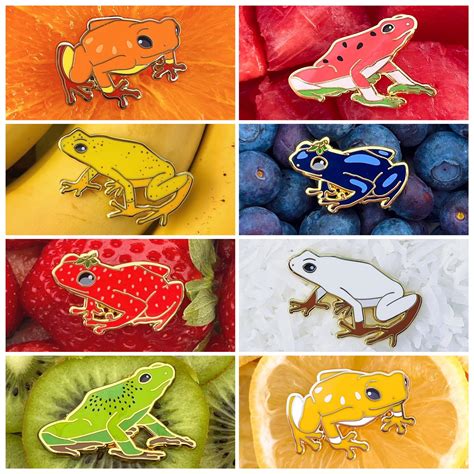 Full Set 8 Fruit Frog Enamel Pins Watermelon Kiwi Strawberry Blueberry