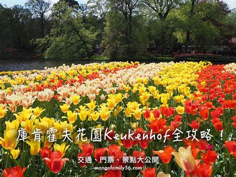 庫肯霍夫花園2025 世界最大荷蘭鬱金香花園．開放時間、交通、門票、參觀攻略 芒果這一家