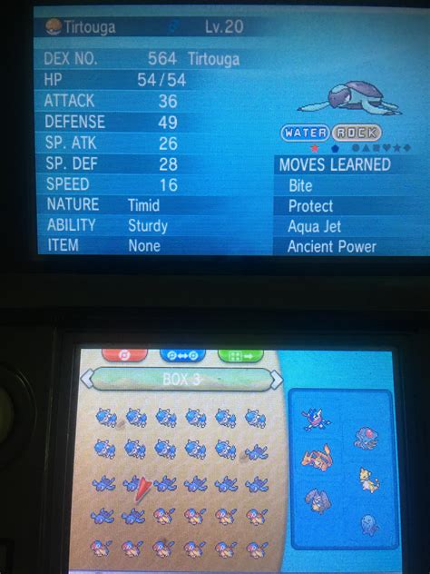 6 Shiny Tirtouga 980 Fossils Was Not Expecting Anything So Quickly