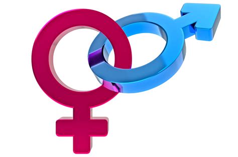 Maschio Femmina Sesso Cartello Genere Simboli Illustrazione 3d Resa 3d Genere Simboli