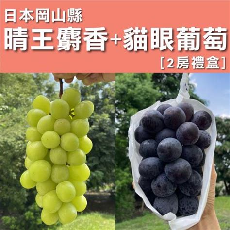 【水果狼fruitman】頂級日本空運 岡山晴王麝香＋貓眼葡萄 兩房綜合禮盒 中秋送禮推薦 中秋禮盒會員獨享好康折扣活動葡萄etmall