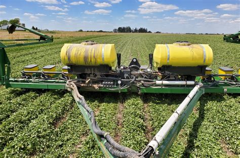 Allowing Established Clover To Grow With Corn Practical Farmers Of Iowa