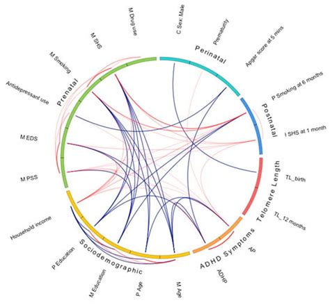 Cyclic Relationship Graph