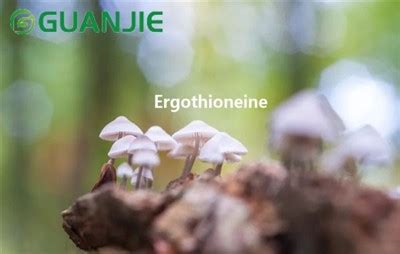 What Are Ergothioneine Health Benefits? | Blog