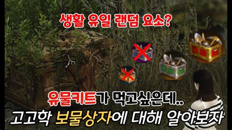 유물키트 수급처인 고고학 보물상자에 대해 알아보자 로스트아크 Youtube