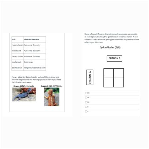 solved table[[trait inheritance