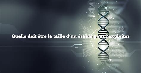 Quelle doit être la taille d un érable pour l exploiter