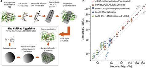 Exthullrad Successfully Predicts The Diffusion Coefficient Of