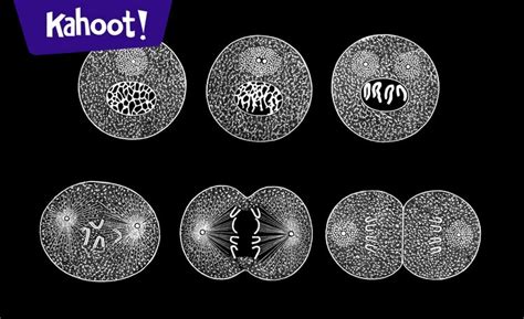 Sexual Development 7 8 Kahoot Quiz