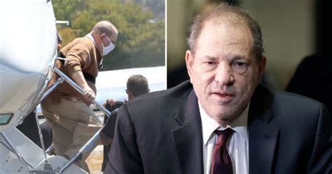 Harvey Weinstein Extradited To California On Sex Abuse Charges