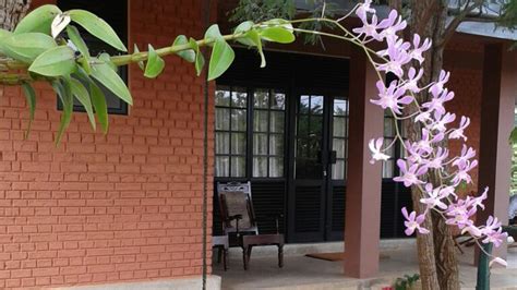 Courses Sri Lanka Higher Education Degreediploma