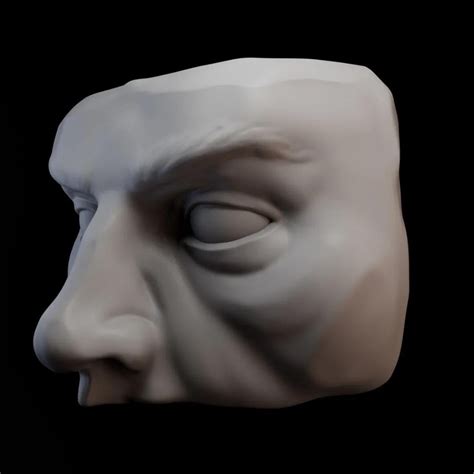 Anatomy Practice R 3dmodeling