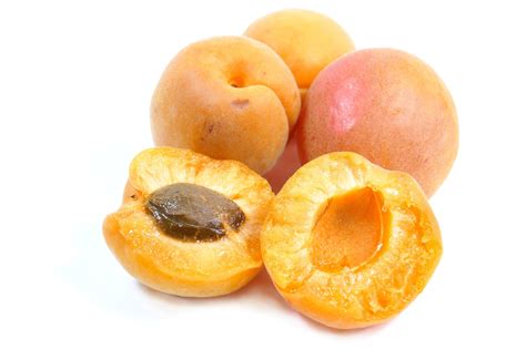 1000 Free Apricots And Apricot Tree Images Pixabay