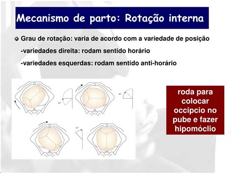 Ppt Assistência Ao Parto Powerpoint Presentation Free Download Id