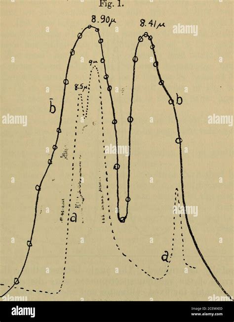 What Is An Absorption Spectrum Apex Unlock The Secrets To Spectroscopy 2025