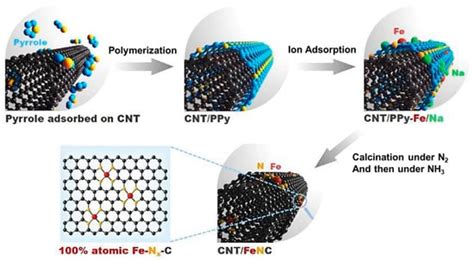 Burgeoning Single Atom Nanozymes For Efficient Bacterial Elimination