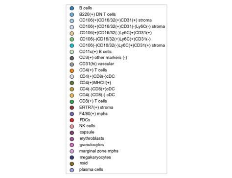 Mesa Ecospatial Tutorials Murine Spleen Codex — Mesa 010 Documentation