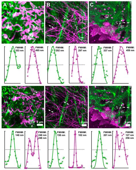 Click Chemistry With Cell Permeable Fluorophores Expands The Choice Of