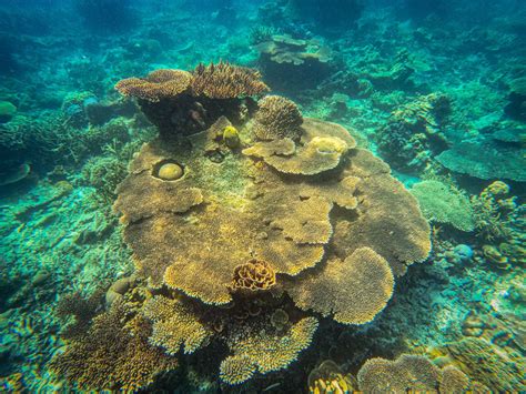 A Guide To Karimunjawa Indonesias Undiscovered Island Paradise