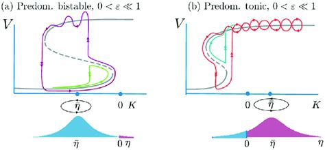 Schematic Bifurcation Diagram Not To Scale Top Panels Of The