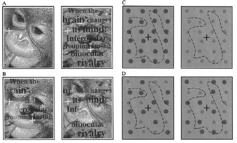 21 Interocular Grouping During Binocular Rivalry Adapted From