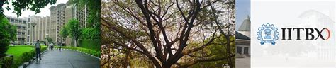 Iit Bombay Offers Free Online Course On Php And Mysql