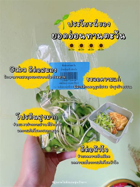 ประโยชน์ของยอดอ่อนทานตะวัน 🌻 แกลเลอรีที่โพสต์โดย แพมมิชชี่ 。 Lemon8