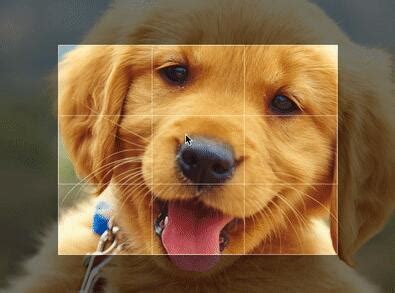 A React Component To Crop Images With Easy Interactions